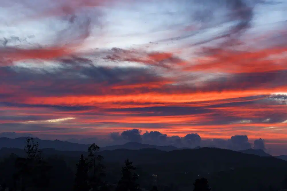 The Power of Colour in Photography