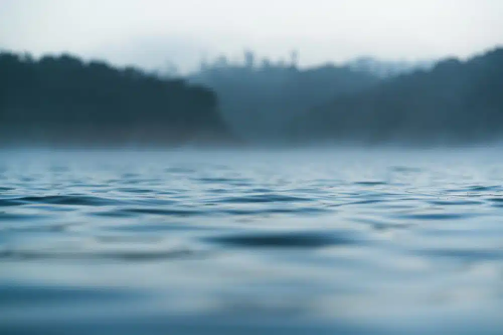 The Power of Colour in Photography