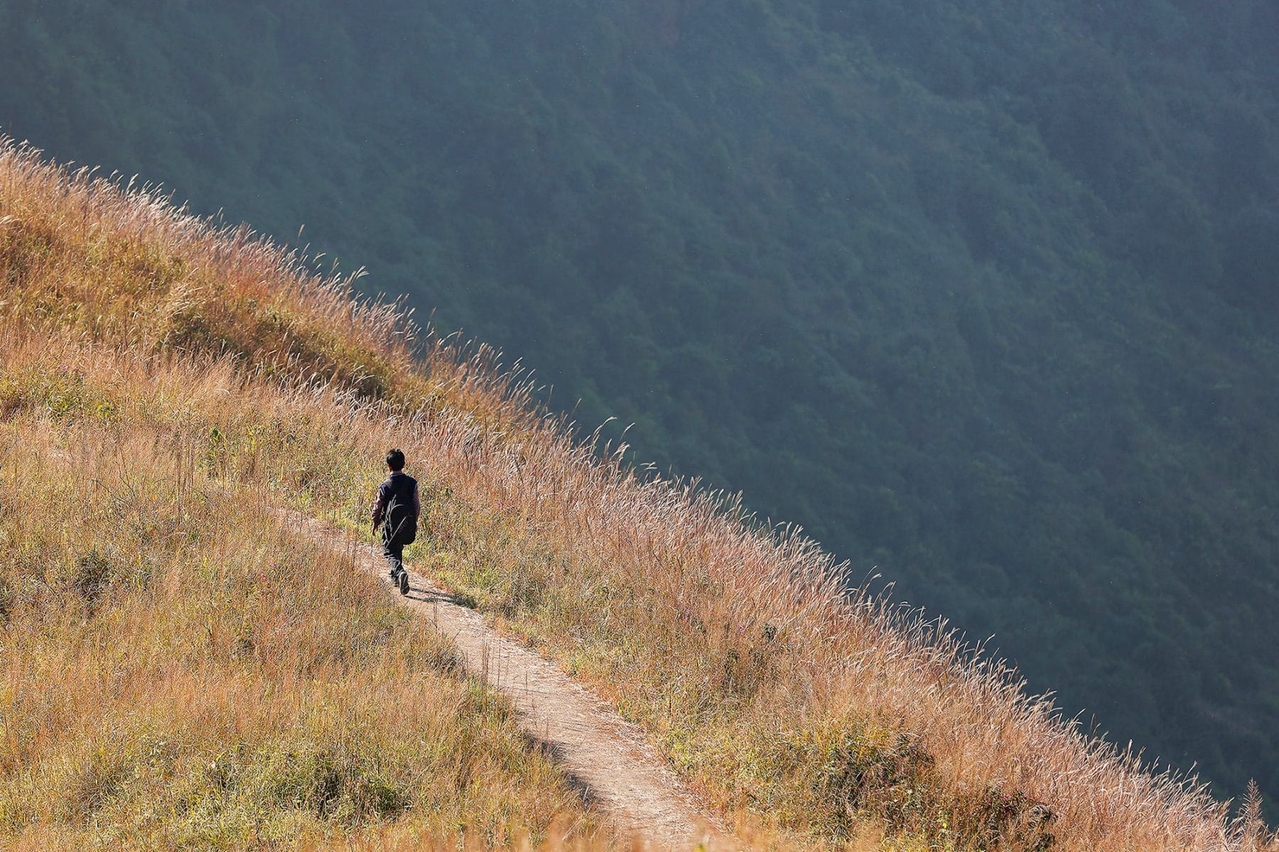 Life Through the Lens: A Photographer's Perspective